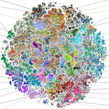 We develop machine learning tools for visualizing high-dimensional data ...